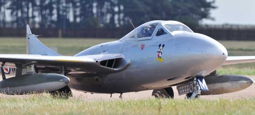 Spider Crabs, Vampires and Goblins