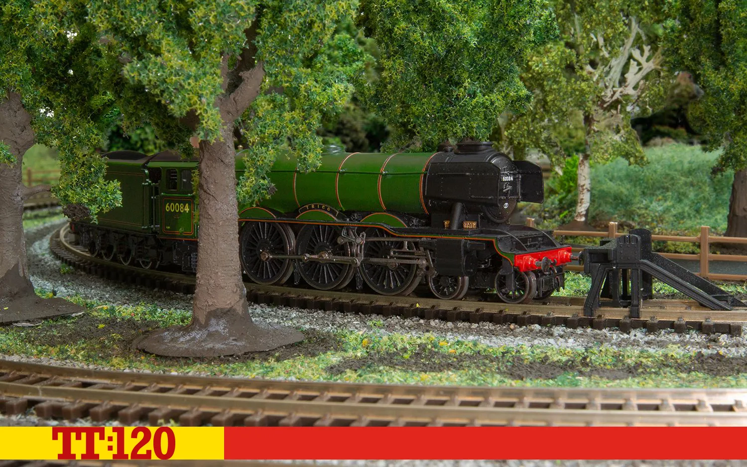 TT3006M BR Class A3 4-6-2 60084 'Trigo' - Era 5