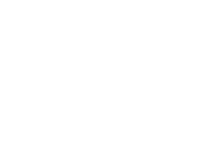 Scalextric Silverstone Museum On Track Exhibit