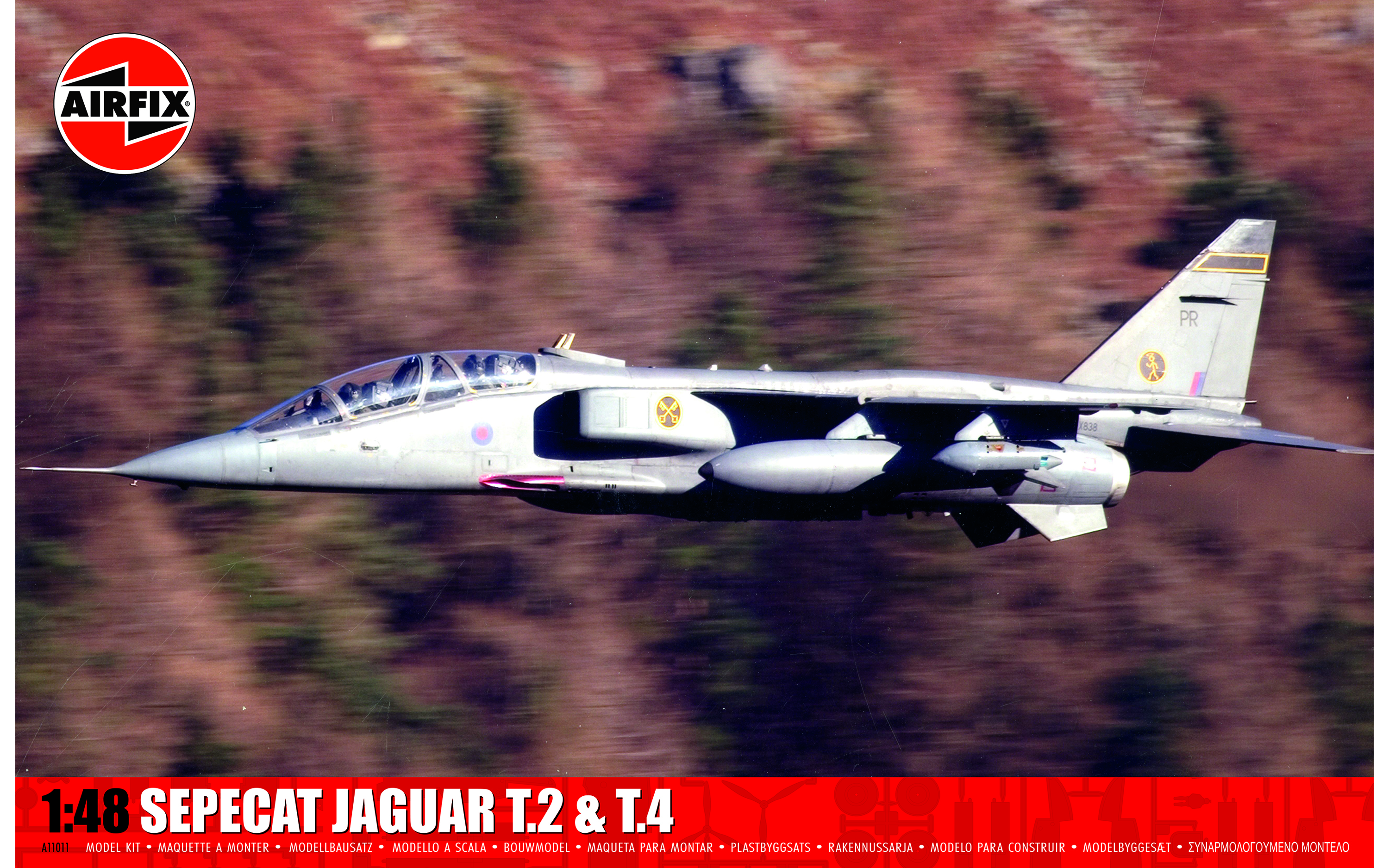 A11011 SEPECAT Jaguar T.2 & T.4