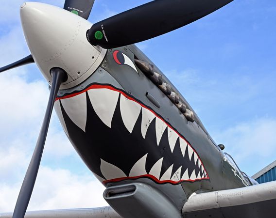 Spitfire Face